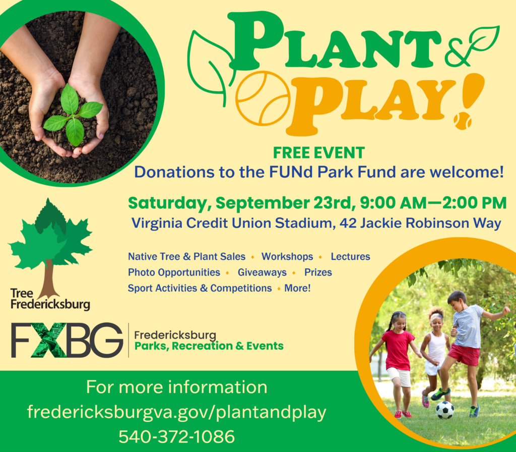 plant and play – Telemedia Broadcasting